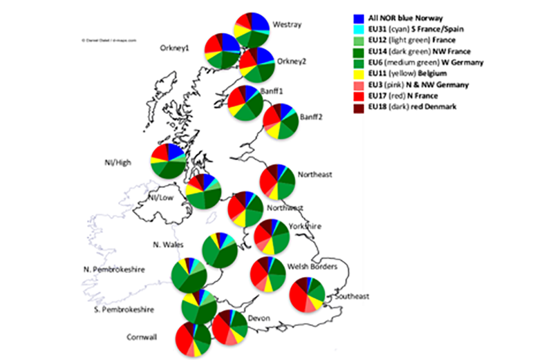 Population genetics | People of the British Isles